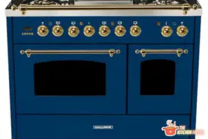 Why Are Ovens Blue Inside? (Exploring The History)